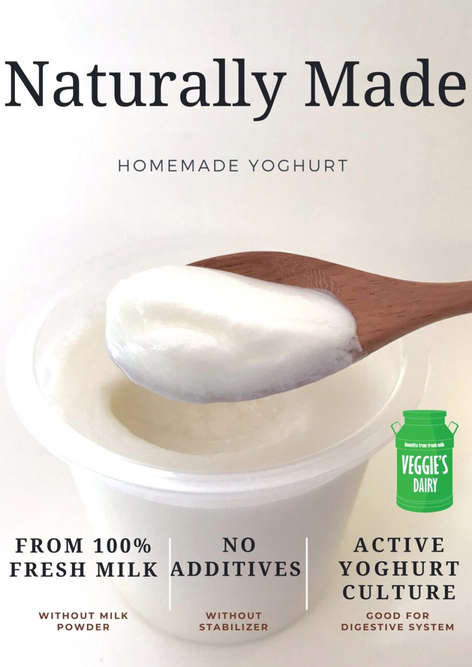 Set Yoghurt (S) 150g 6 cups – Veggie's Dairy