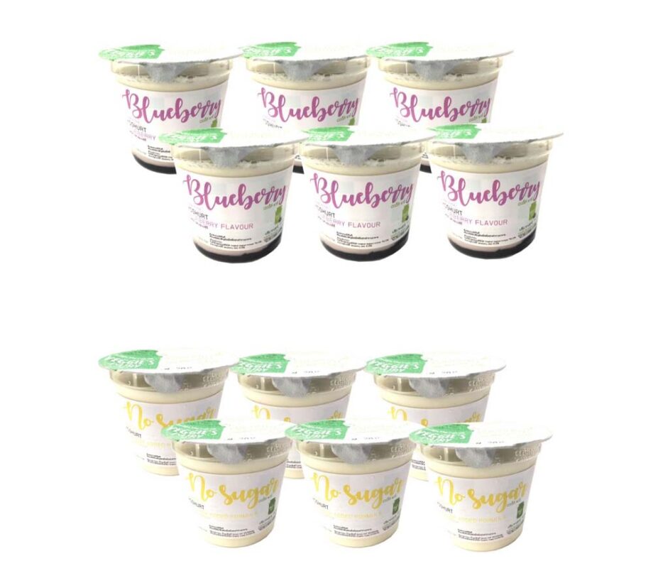 Set Yoghurt (S) 150g 12 cups – Veggie's Dairy